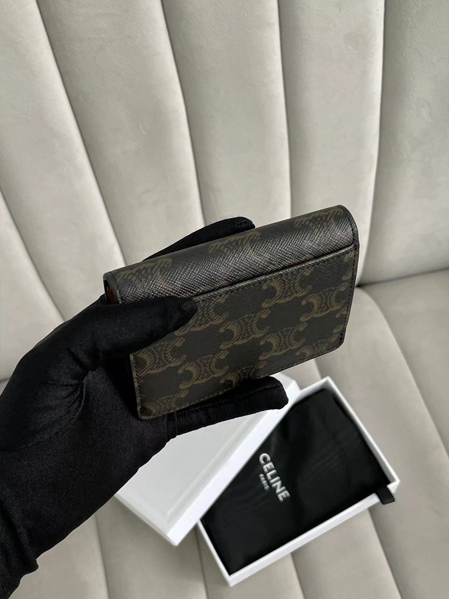 Celine Card Holder Triomphe at Annabelle Wang blog